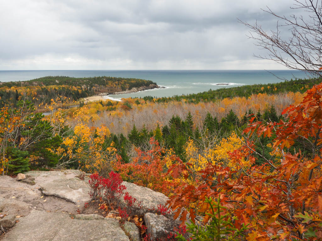 USA Discovery Program