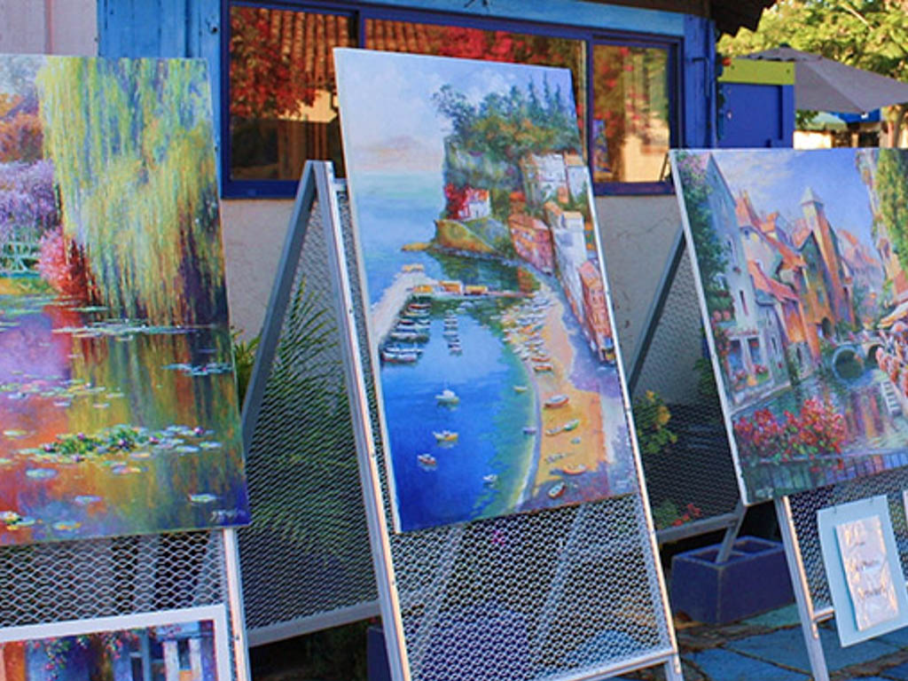 USA Discovery Program