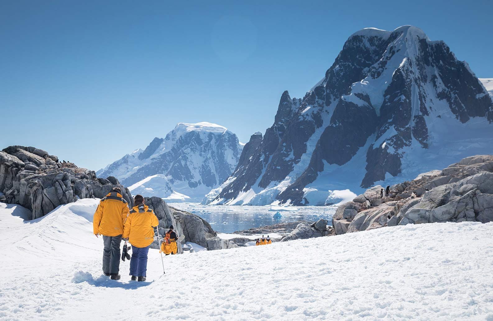 Quark Expeditions Program