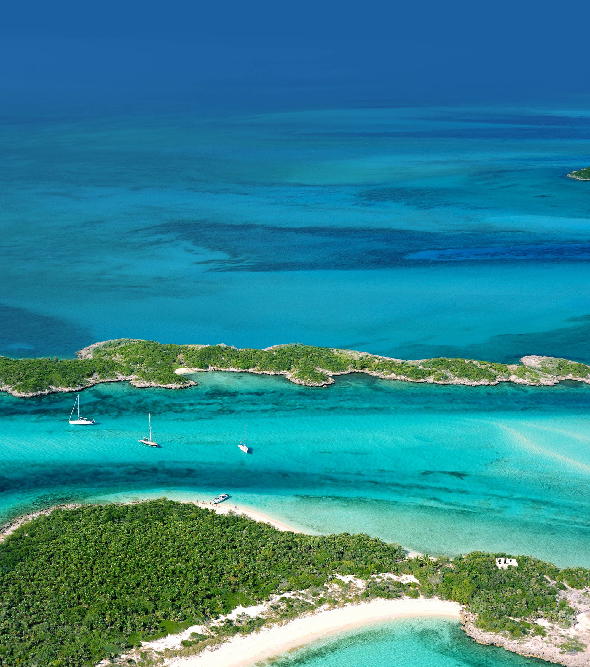 Bahamas Specialist Program