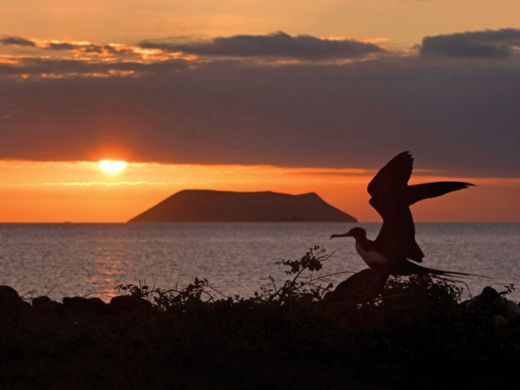 Lindblad Expeditions