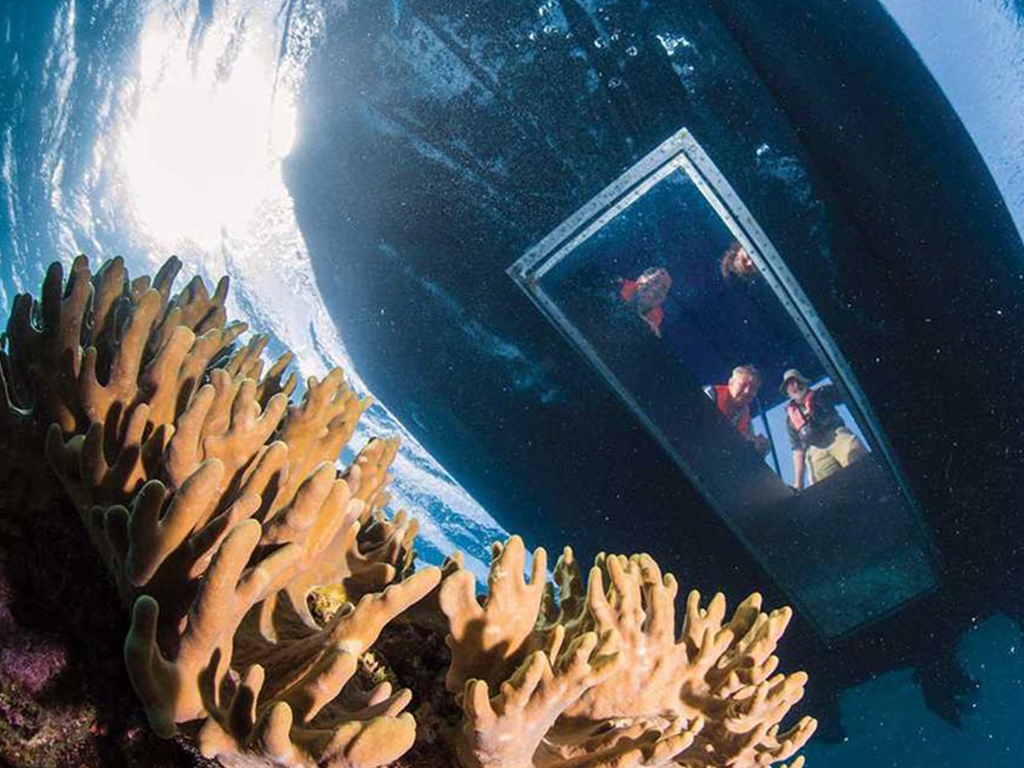 Lindblad Expeditions