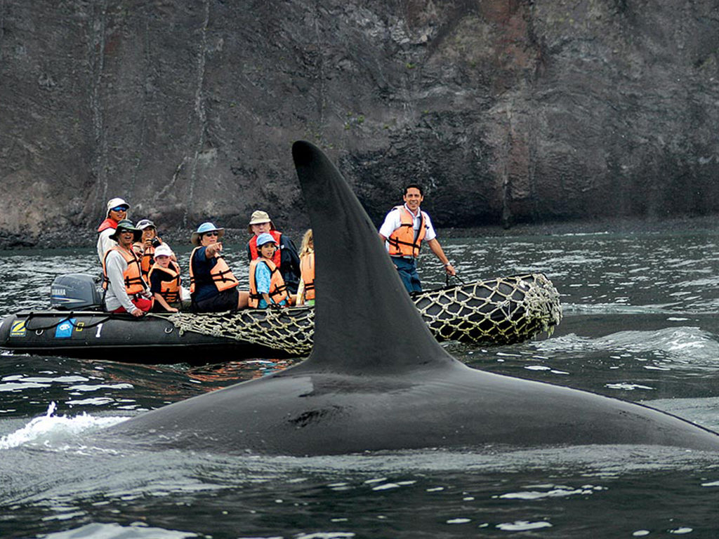 Lindblad Expeditions