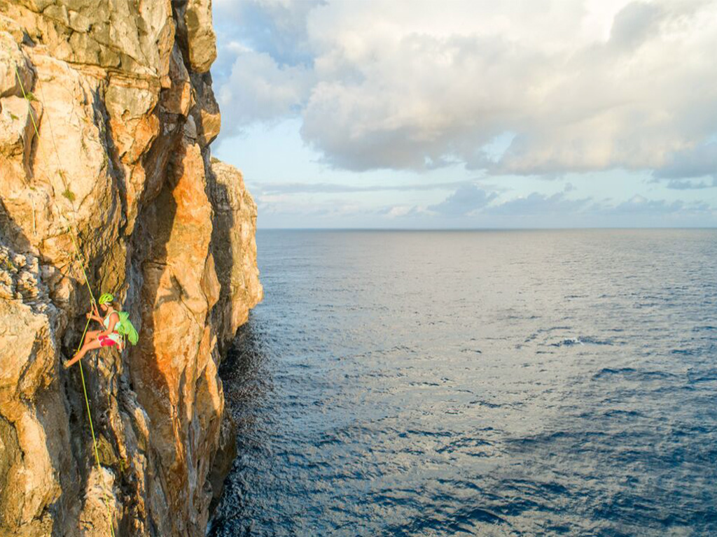 Cayman Islands Specialist Programme