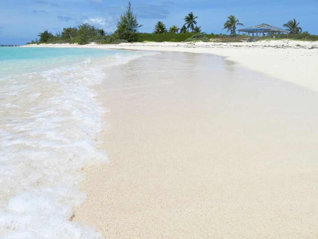 Cayman Islands Specialist Programme